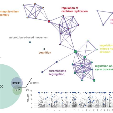 Evidence For Adaptive Genomic Convergence In Plunge Diving Download Scientific Diagram