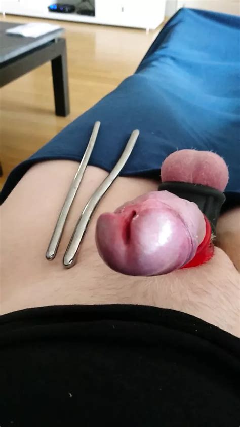 Me Doing A Bit Of Sounding And Finish Of With A Cock Plug Xhamster
