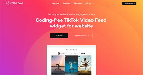 11 Best Tiktok Wordpress Plugins For 2023 Free Paid