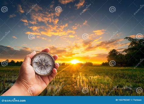 Compass In Hand At Forest Tourist Compass For Orientation On The