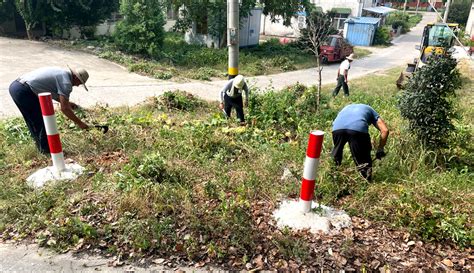 【清洁望江行动】回龙街道：共建美好家园，干群齐行动望江新闻网