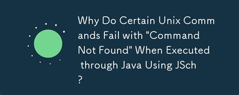 Why Do Certain Unix Commands Fail With Command Not Found When
