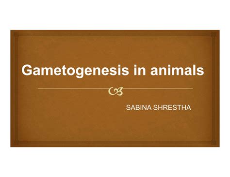 Solution Gametogenesis In Animalspdf Studypool