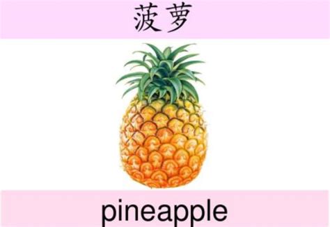 有关食物的英语单词十个 百度知道