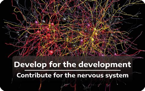 Awesome Computational Neuro Science Notebooks Project 1 SNN Models