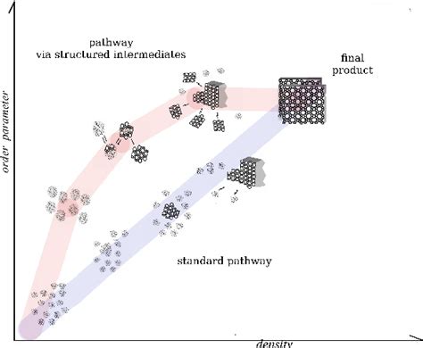 Figure 1 From Kinetics Of Intermediate Mediated Self Assembly In