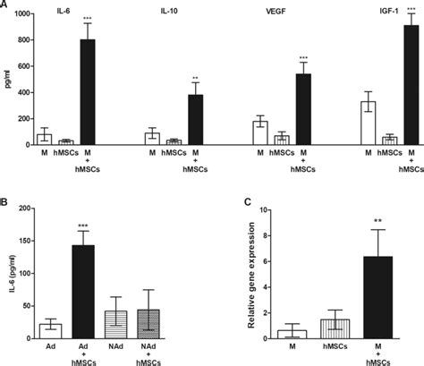 A Model Of Macrophage Activation By Inactivated MSCs A PECs As A
