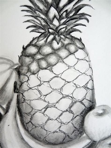 Fruits Still Life Drawings In Pencil