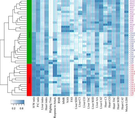Heatmap Showing Clustering Results Of All Individuals Based On All