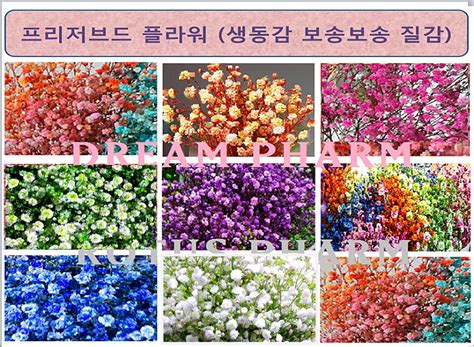 프리저브드 플라워 만드는 방법프리저브드용액 사용법 네이버 블로그