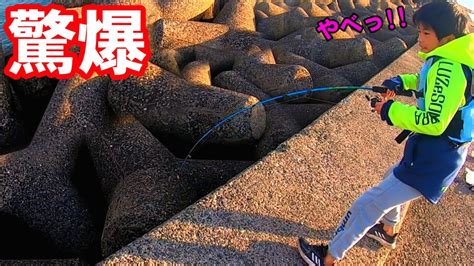 高級魚が荒喰いする堤防は子供もビビる生物が潜んでた！ 釣り動画