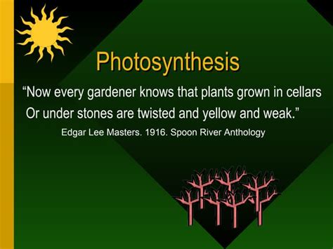 Photosynthesis Lecture Part 2 Ppt