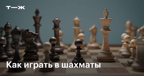 Правила игры в шахматы для начинающих пошаговая инструкция как ходят