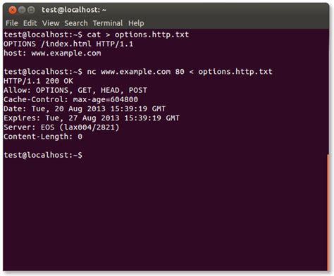 WSTG V4 1 OWASP Foundation