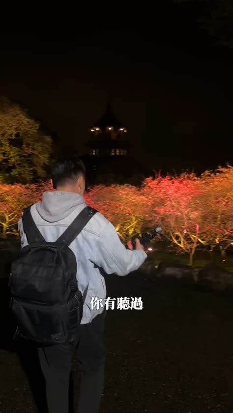 淡水不要只去河岸邊 不曾想過竟然也有這種地方 應該說大台北地區這櫻花多到誇張 以前總覺得一定要跑到很深山 長大後發現 其實台北市新