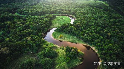 为什么说亚马逊雨林是人类的禁区到底有多恐怖 知乎
