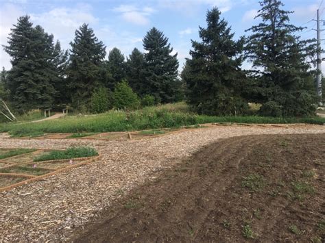 Demonstration Grass Plots At Houston Gardens West Greeley