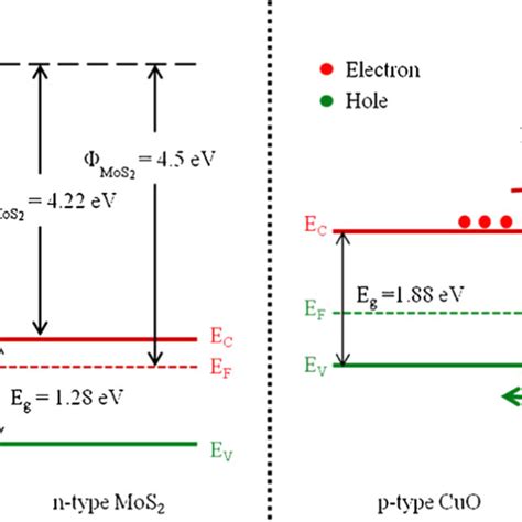 The Schematic Energy Band Diagram Of N Mos2p Cuo Heterojunction Before