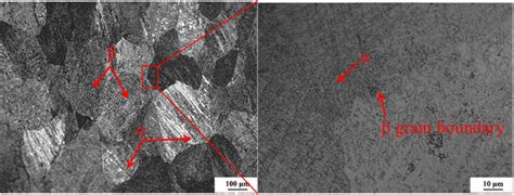 Original Microstructures For Tb6 Alloy Download Scientific Diagram