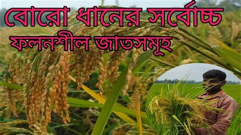 বর ধনর উননত জতসমহ বর ধনর সরবচচ ফলনশল ধন কন গল বর ধন চষ YouTube