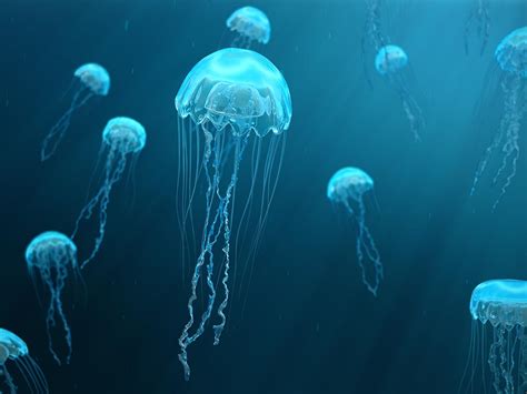 [webinar] Building A Scalable Fair Data Ecosystem Scibite