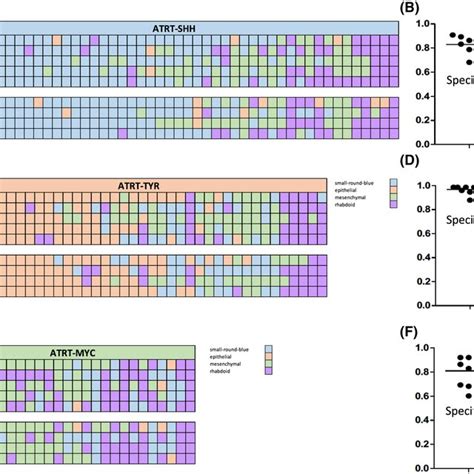 Morphological Patterns In Atrt According To Molecular Subgroup Download Scientific Diagram
