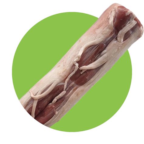 Kangaroo Bones Raw Tail Per Kg