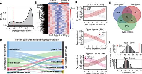 Time Course Rna Seq Profiling Reveals Isoform Level Gene Expression Dynamics Of The Cgas Sting
