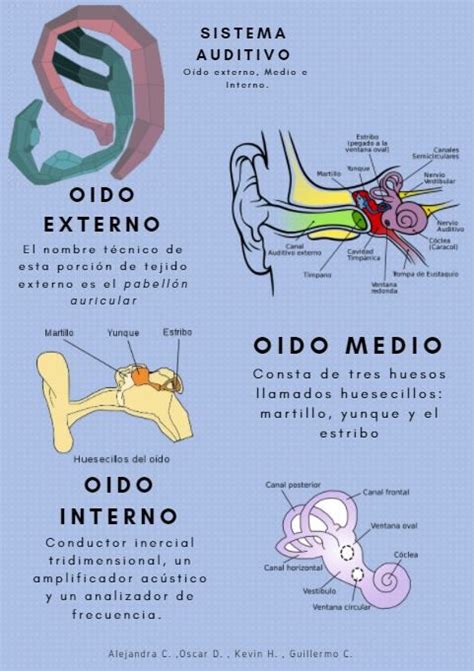 Pin De Miriam En Temas De Psicologia Libros De Anatomia Anatomia Y