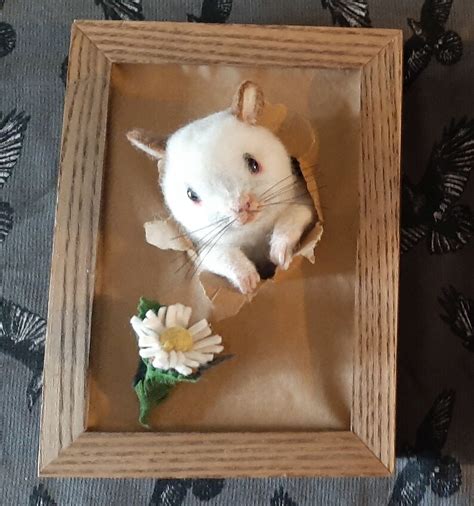 Breakout Bad White Mouse An Unexpected Guest Needle Felted Fiber Art Life Size 3d Framed Wall