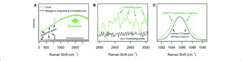 Expected Signatures Of Organic Molecules Present In Coral Skeleton Download Scientific