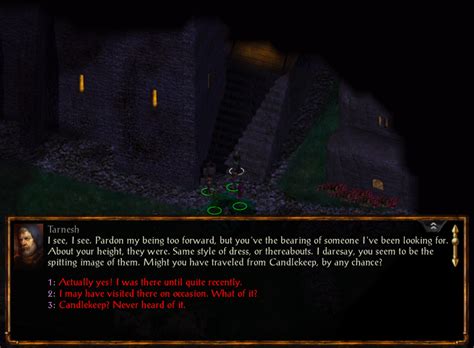 Baldurs Gate Portraits Portraits Everywhere Showcase Rpgcodex