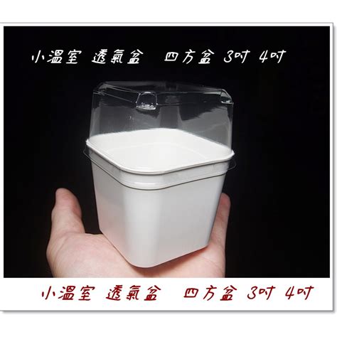 小溫室 透氣盆 多肉花盆 花盆 生態瓶 塑膠盆 透明蓋 透明悶蓋 悶蓋杯 悶箱食蟲，多肉 鹿角蕨蘭花 蝦皮購物