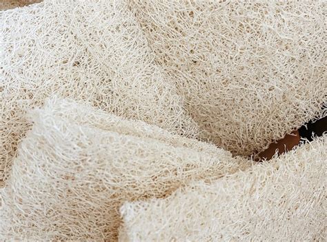 9 Best Loofahs For Men Top Shower Body Scrubbers In 2025 Fashionbeans