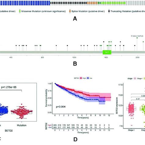 Mutation Analysis A Rate 21 And Types Of Mutations And B Sites