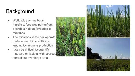 Wetland Methane Flux Chamber Ppt