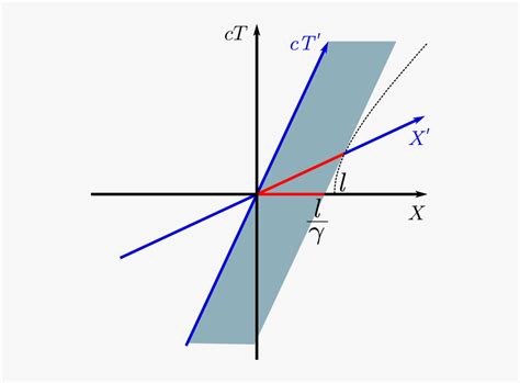 Theory Of Relativity Length Lorentz Muscle Transformation Dilatación