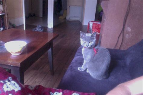 Harold And Nelson Harold And Nelson Added A New Photo