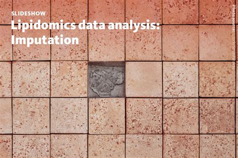 Lipidomics Data Analysis Imputation Lipotype Gmbh
