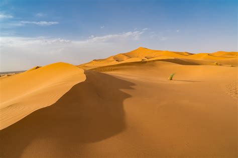 11 Days From Tangier To Merzouga Sahara Desert Tours Camel Trikking