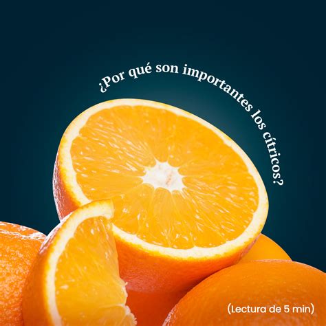 ¿por Qué Son Importantes Los Cítricos Numo Nutrición Moderna