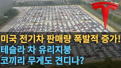 미국 전기차 판매량 폭발적 증가 테슬라 차 유리지붕 코끼리 무게도 견디나 YouTube