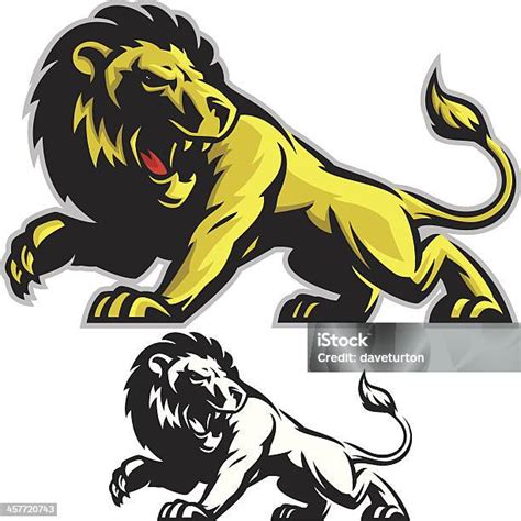 Lion 볼테르 싸움 스탠스를 사자에 대한 스톡 벡터 아트 및 기타 이미지 사자 돌아다니다 볼테르 인조 Istock