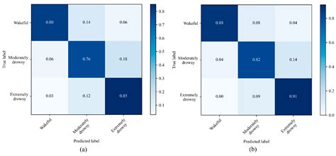 multi level classification of driver drowsiness by simultaneous