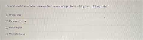 Solved The Multimodal Association Area Involved In Memory