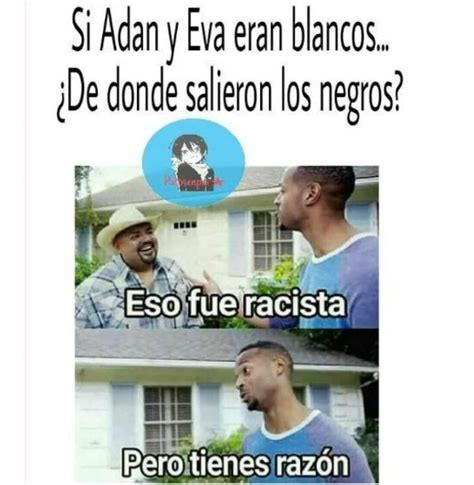 A Partir De Hoy Serán 3 O Más Momos Diarios Perdón Por La Ausencia V