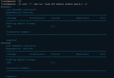Getting Started With Salt It Automation Framework On Almalinux 9