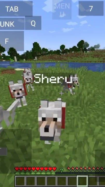 Sharu Minecraft Youtube