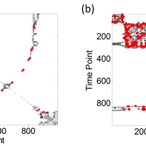 a the template recurrence plot rp plot based on the normal signals