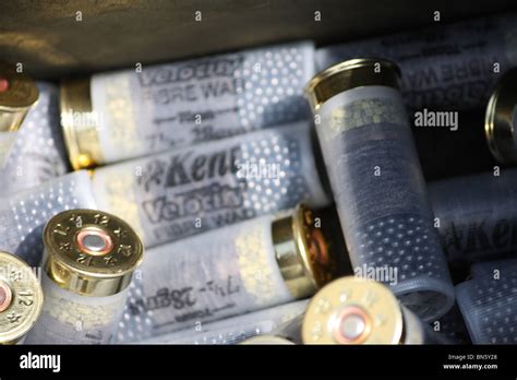 A Pile Of Translucent Plastic Hull Shotgun Shells With The Contents
